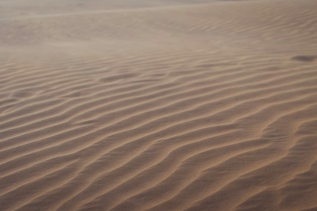 Home | Parallel Path