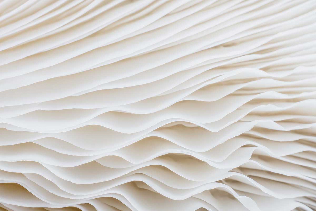 Angela Harper – Parallel Path